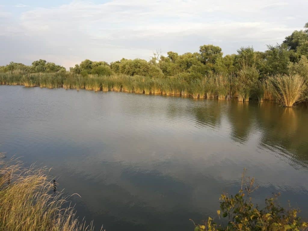 Jezero Srpski Itebej - Rezerviši pecanje online | carp.rs