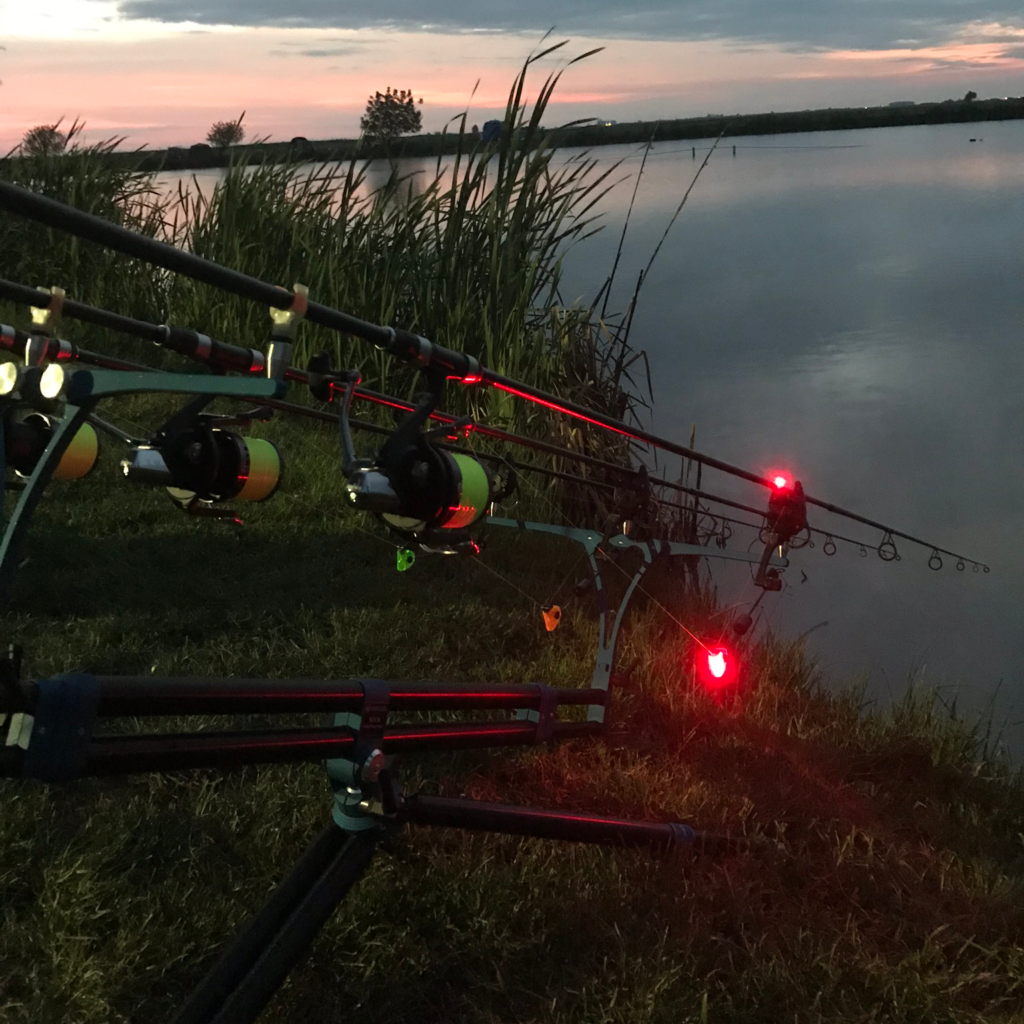 Pavlovačko jezero, Pavlovci - Rezerviši pecanje online! carp.rs