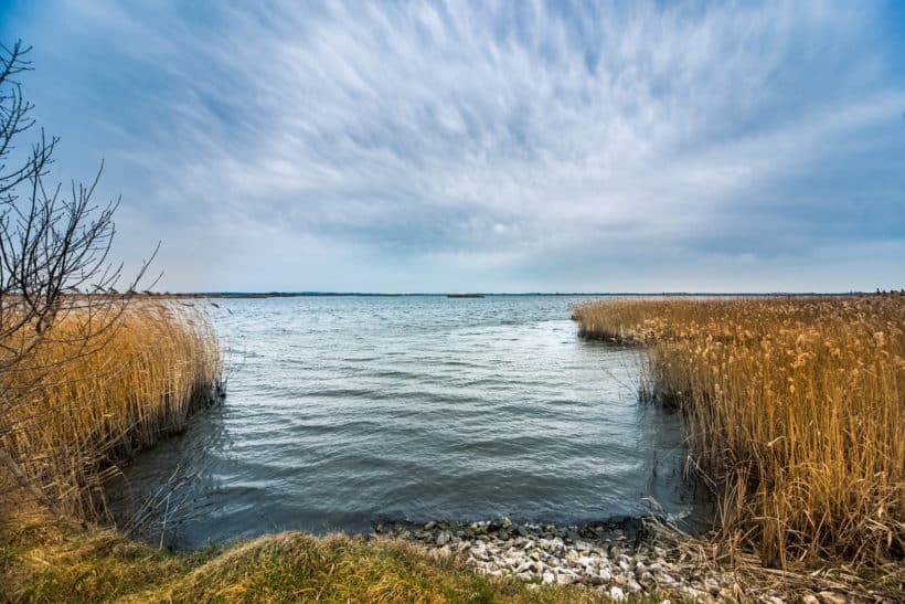 Ribnjak Bečej, Bečej - Rezerviši pecanje online | carp.rs