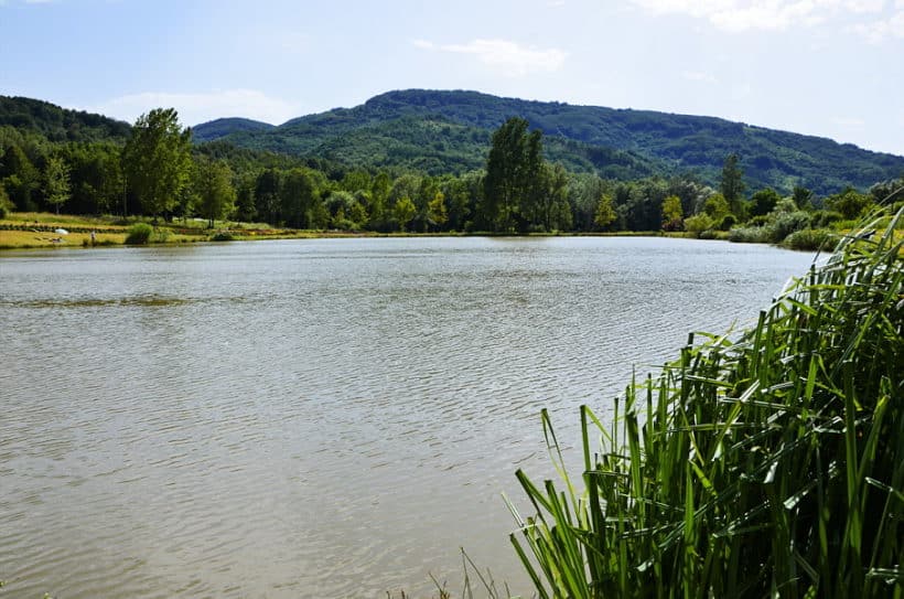 Jezero Sisevac Terme, Sisevac - Rezerviši pecanje online | carp.rs